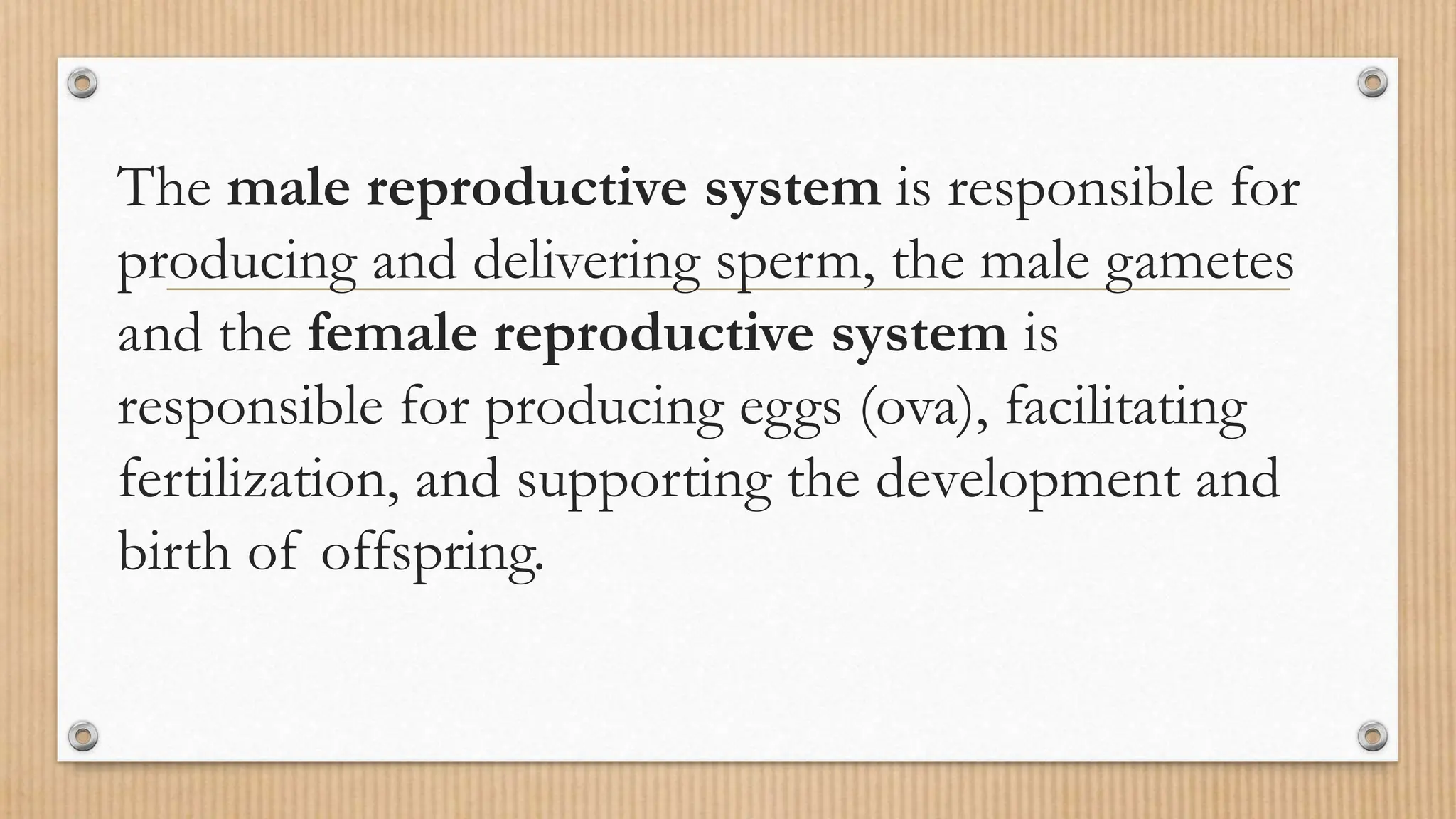SCIENCE Reproductive System ptx for grade 10 students | PPT