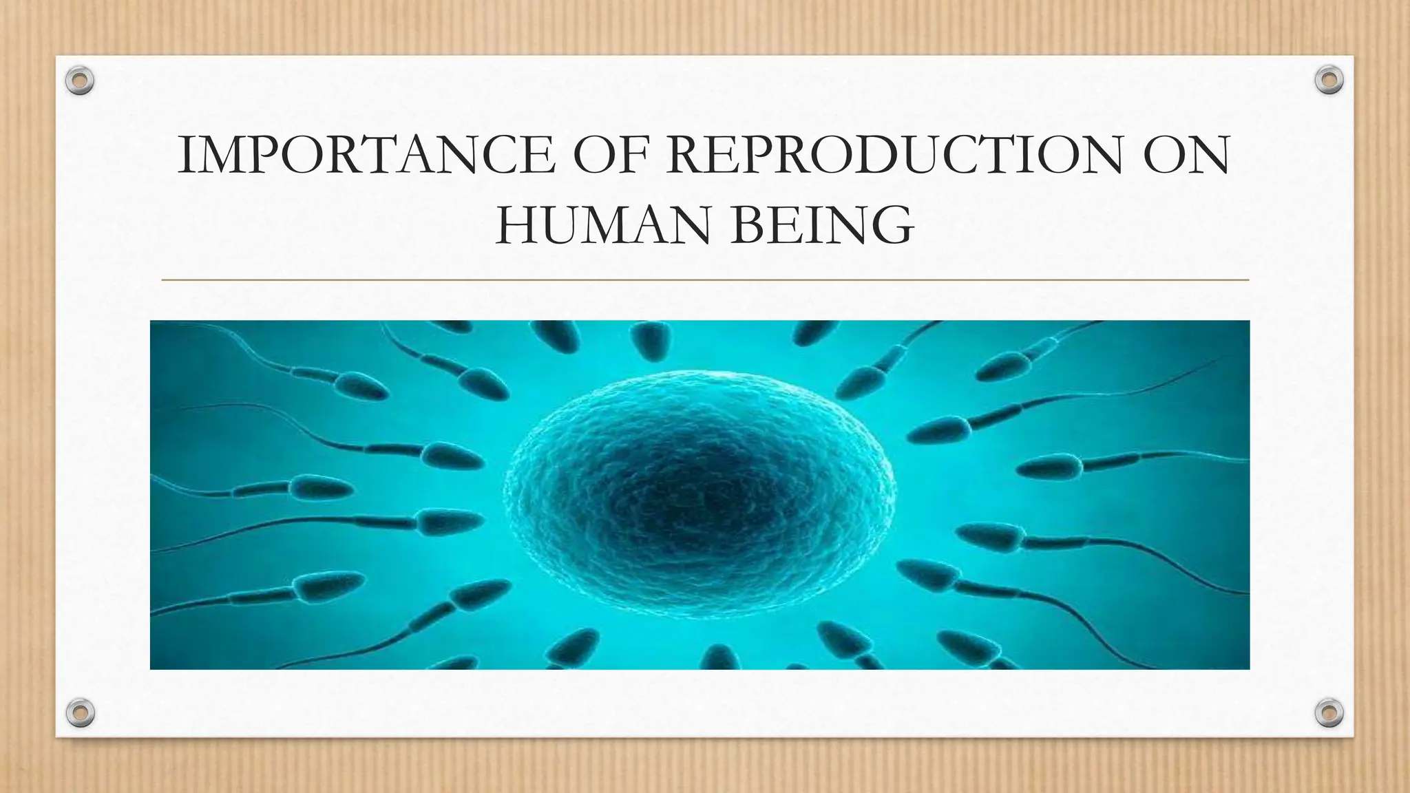 SCIENCE Reproductive System ptx for grade 10 students | PPT