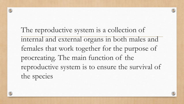 SCIENCE Reproductive System ptx for grade 10 students | PPT