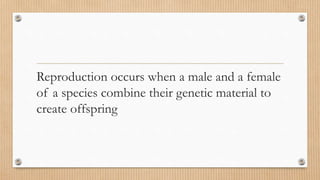 SCIENCE Reproductive System ptx for grade 10 students | PPT