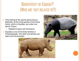 Science equidae(animal) | PPT