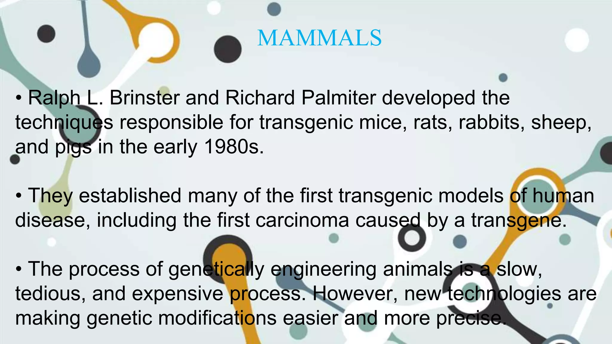 science-fair-newsletter.pptx