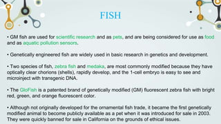 science-fair-newsletter.pptx