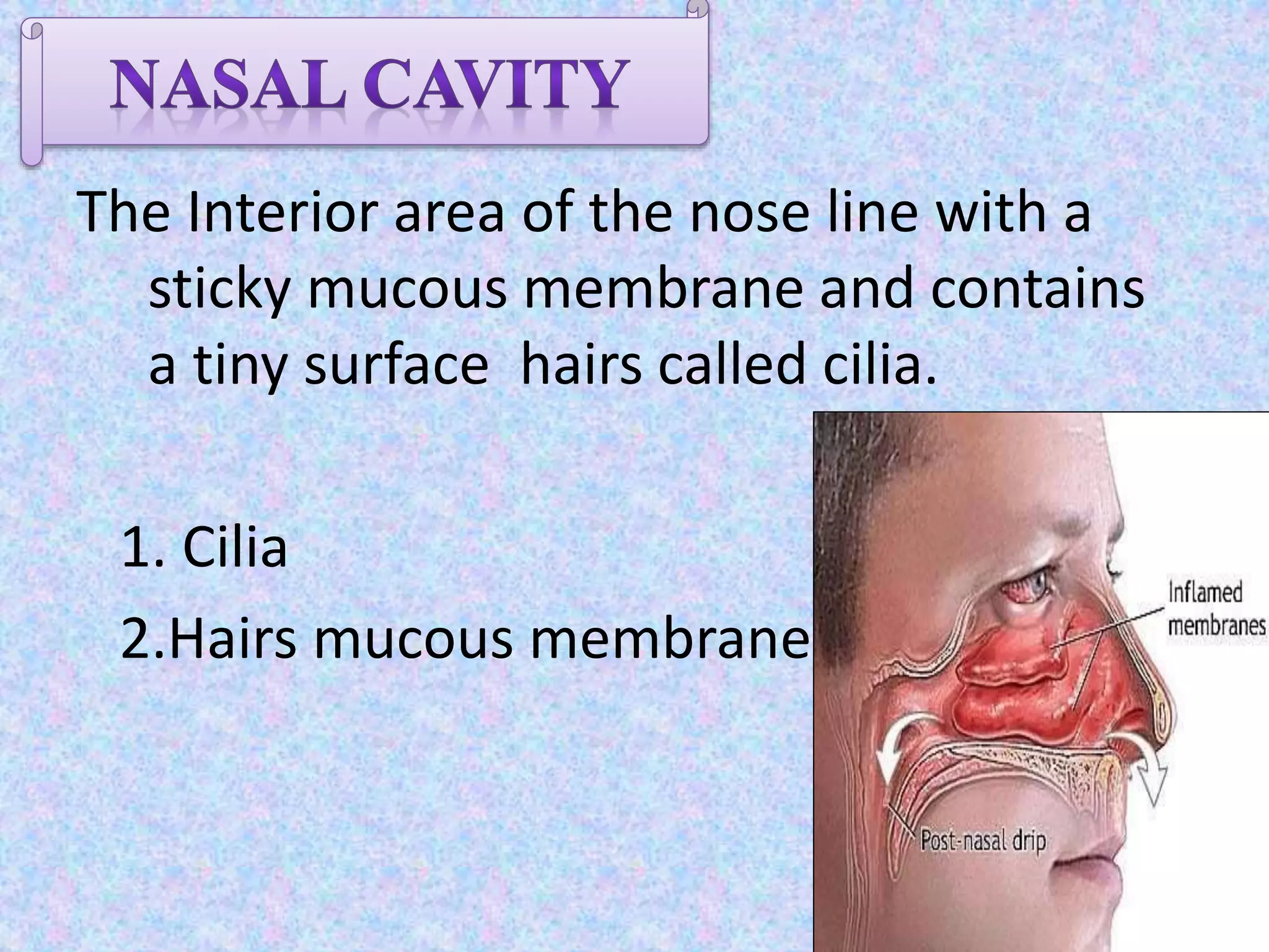 SCIENCE-GRADE-9-ppt.ppt