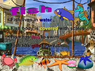 Science habitats | PPT