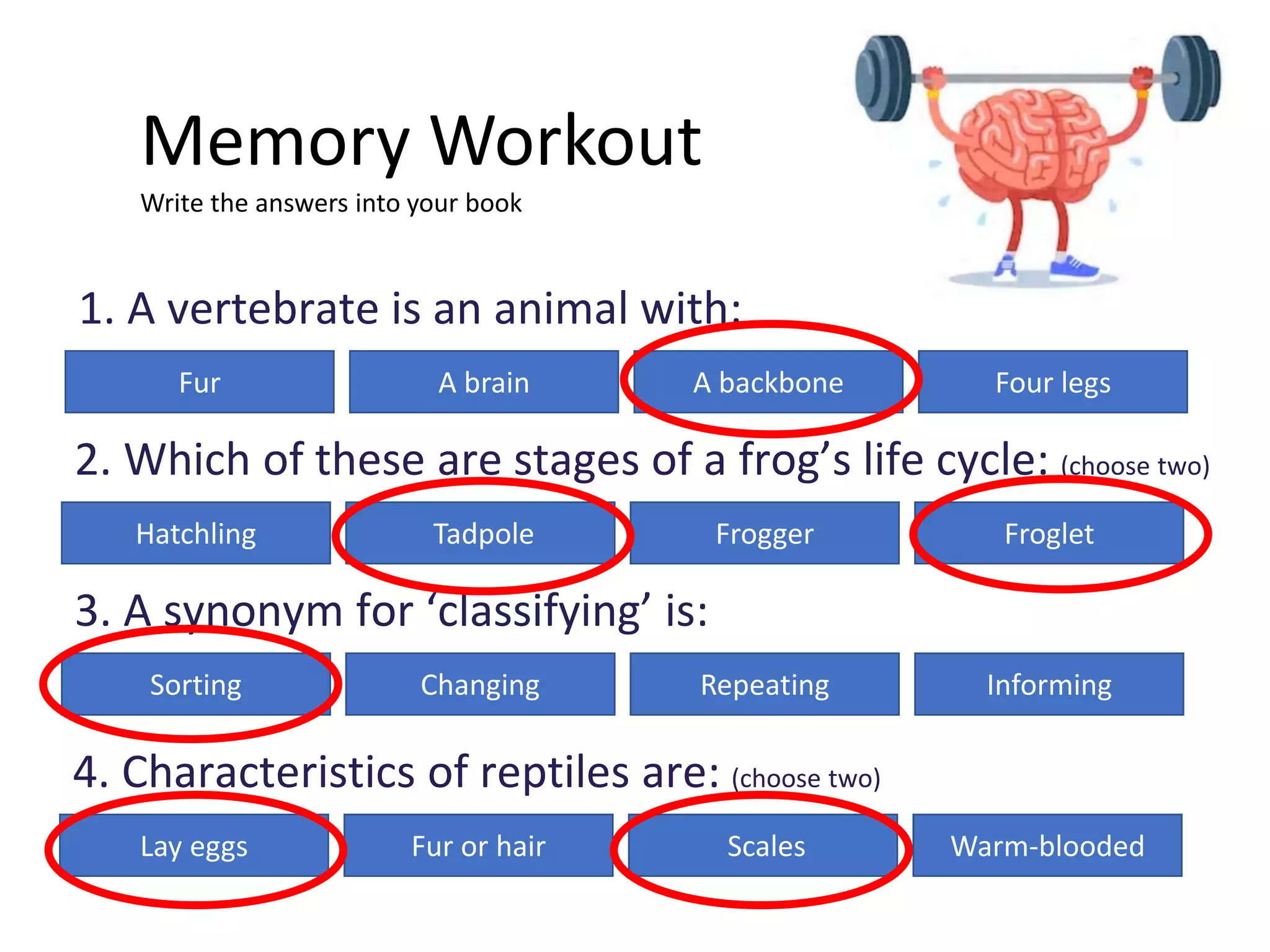 Science - lesson 6.pptx