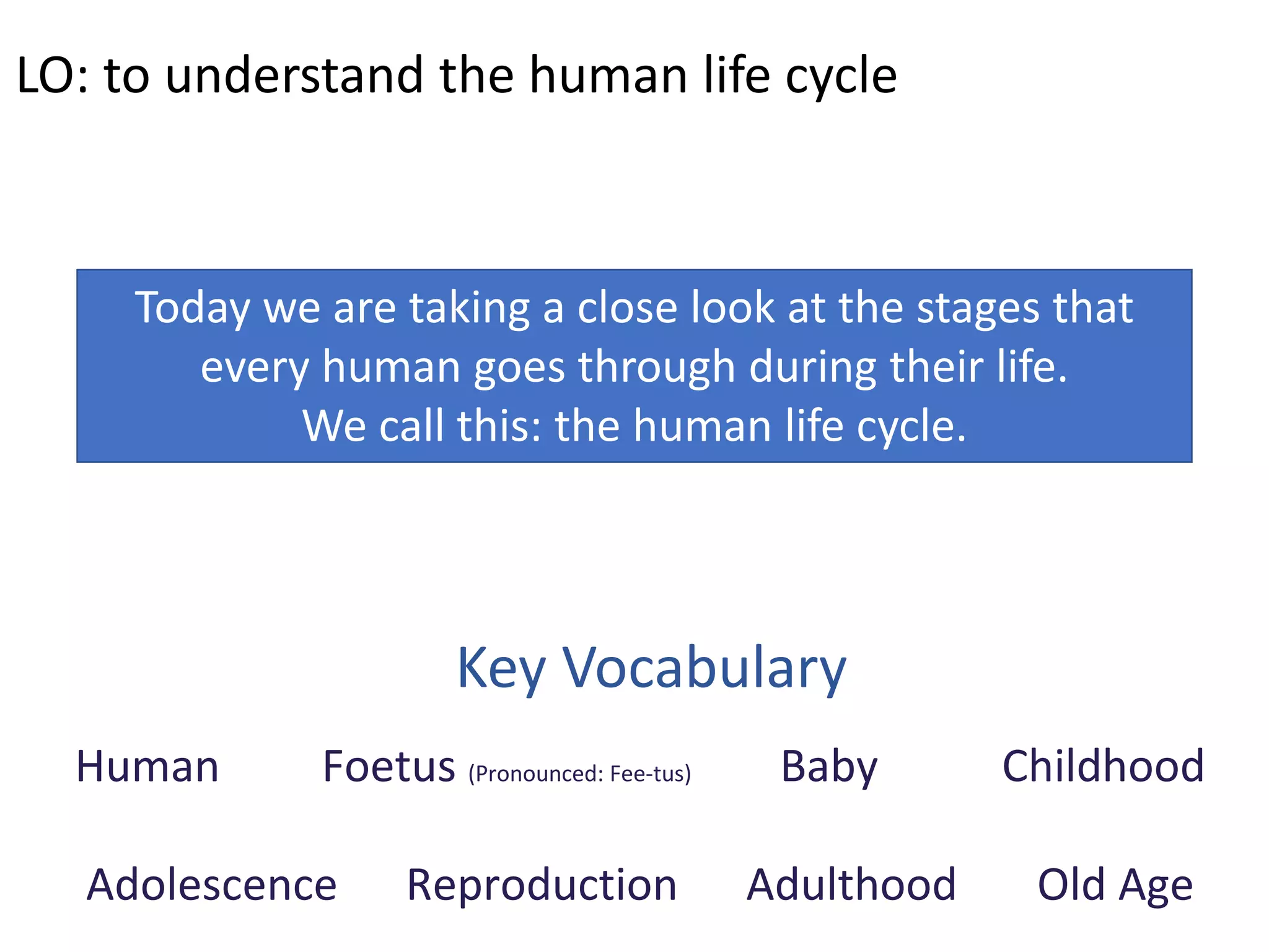 Science - lesson 6.pptx