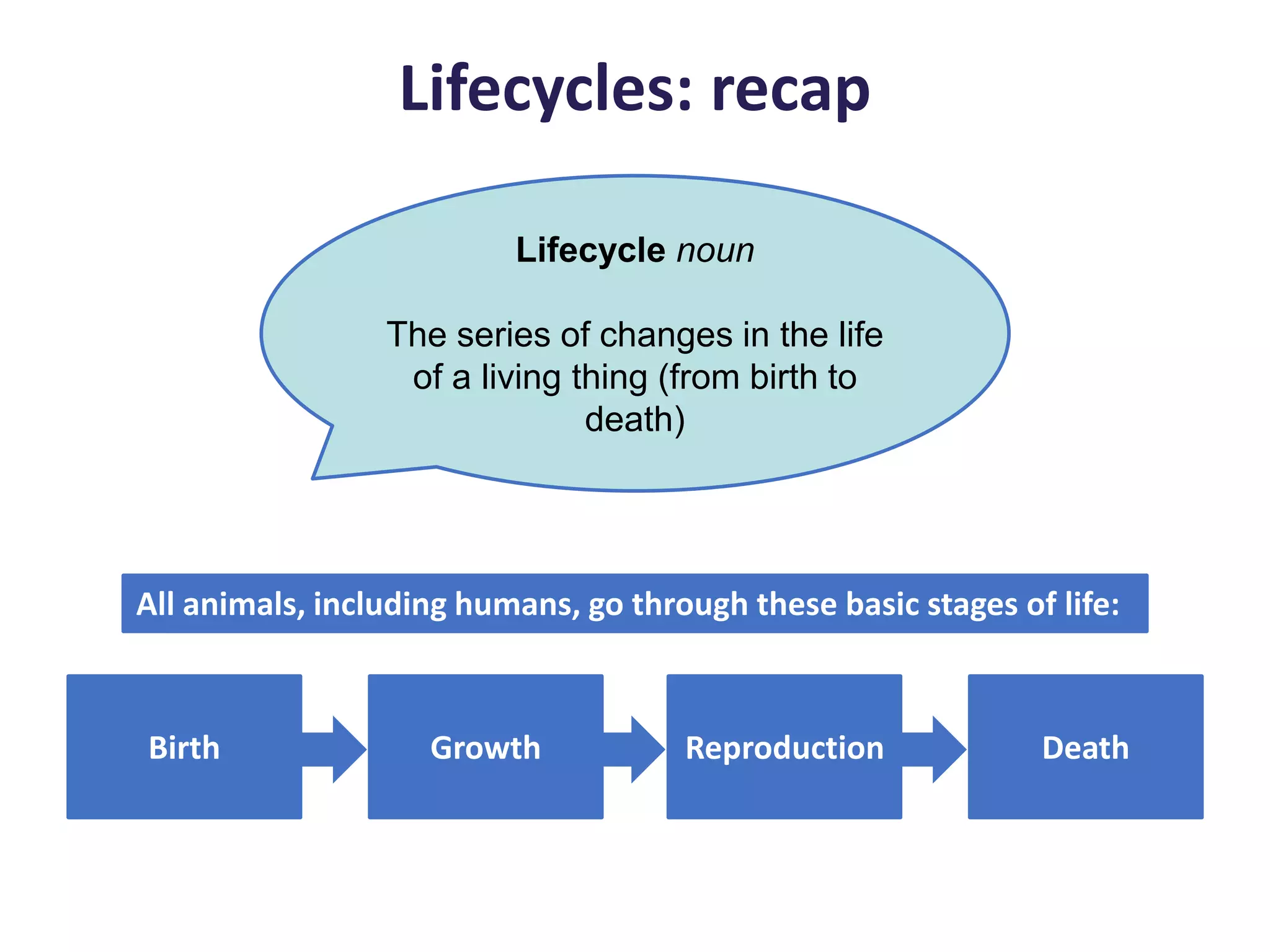 Science - lesson 6.pptx