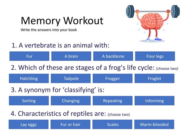 Science - lesson 6.pptx