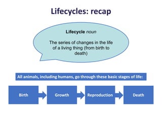 Science - lesson 6.pptx