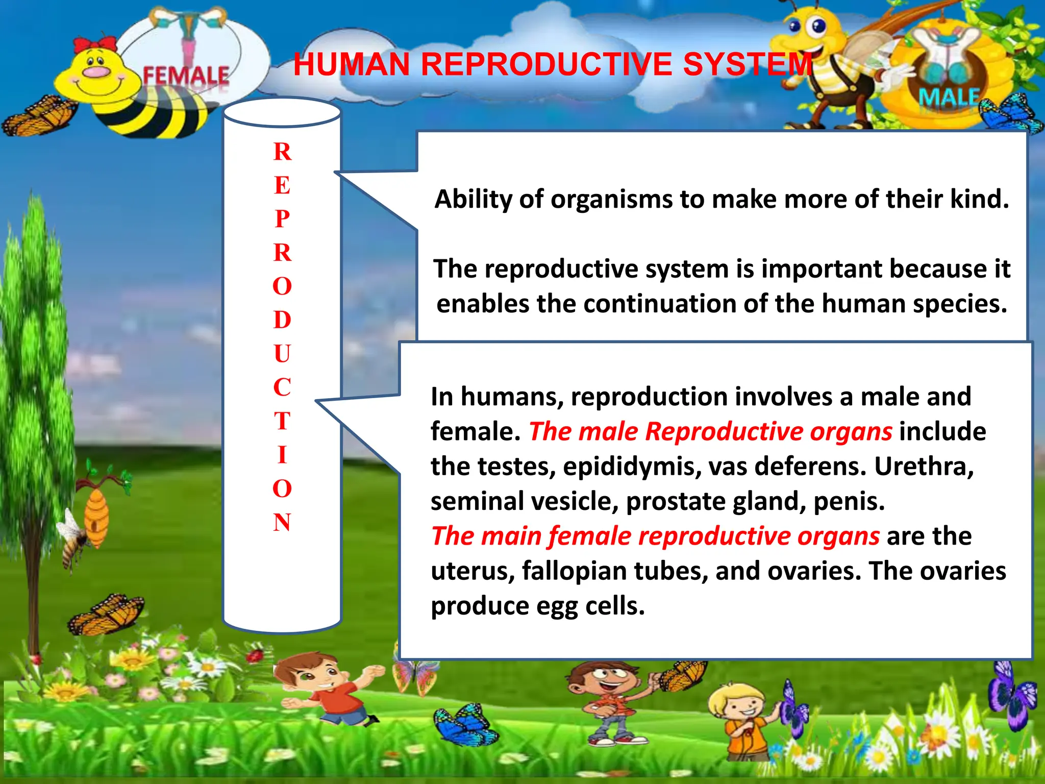 science-male-and-female-Reproductive-system.pptx