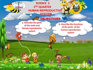 science-male-and-female-Reproductive-system.pptx