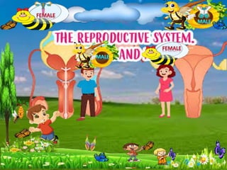 science-male-and-female-Reproductive-system.pptx