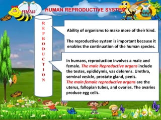 science-male-and-female-Reproductive-system.pptx