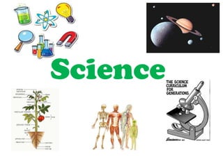 Science mel cs-elem | PPTX