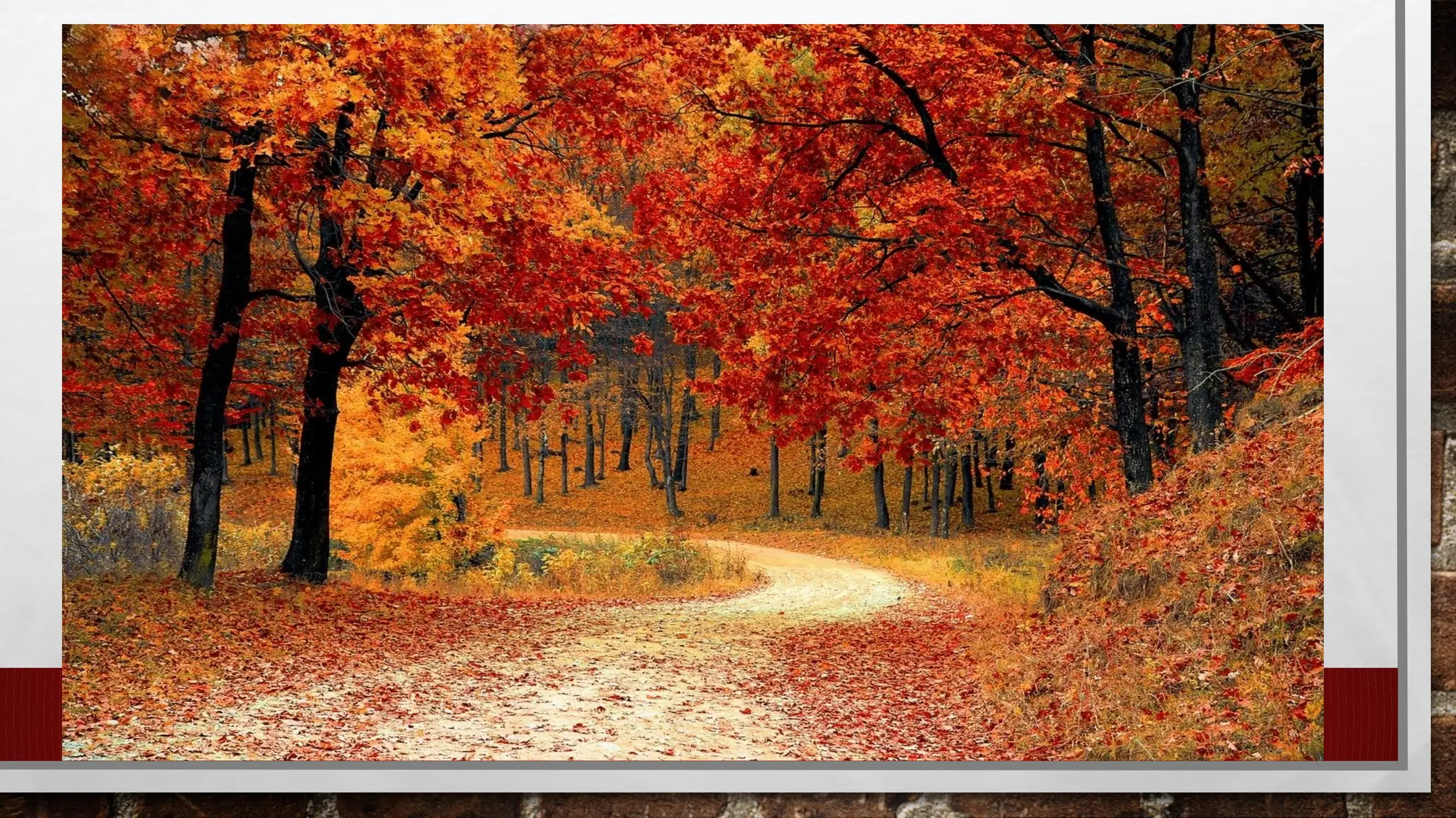 Science-of-ecosystems. Understanding ecosystem pptx | PPTX