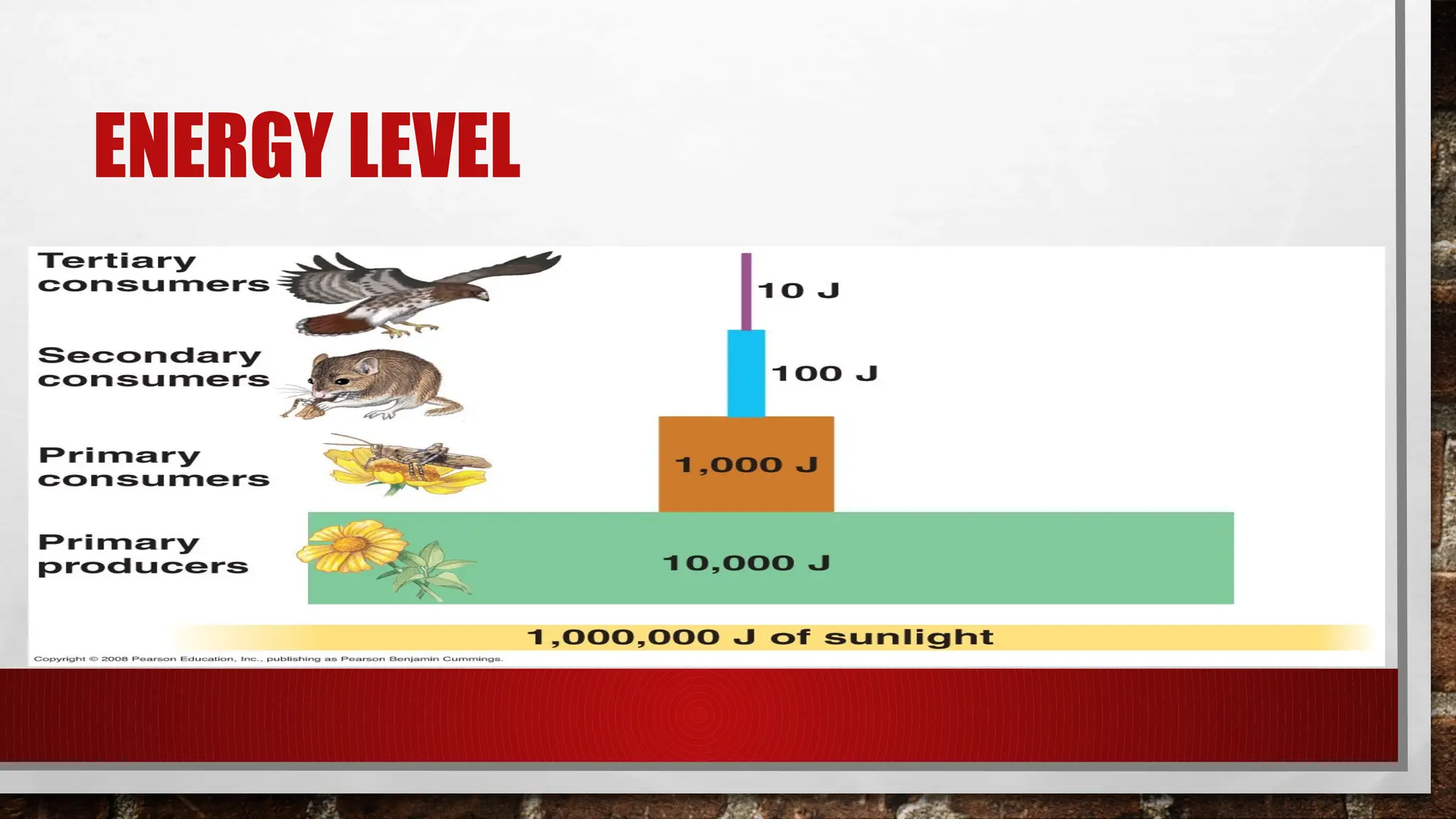 Science-of-ecosystems. Understanding ecosystem pptx | PPTX