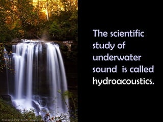 Science Of Sound | PPT