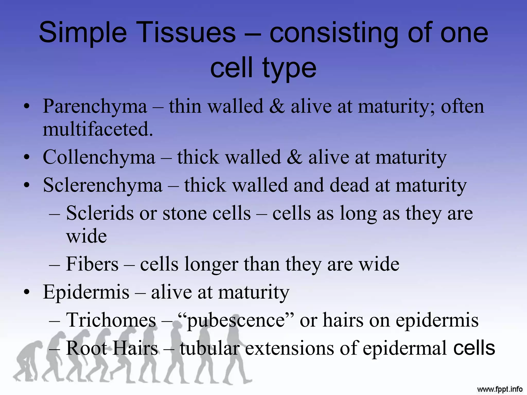 Science | Plant tissue | Meristems,Simple Tissues,&Complex Tissues | PPT