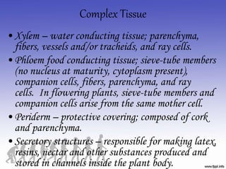 Science | Plant tissue | Meristems,Simple Tissues,&Complex Tissues | PPT