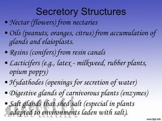 Science | Plant tissue | Meristems,Simple Tissues,&Complex Tissues | PPT