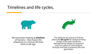science-classification of vertebrates-presentation.pptx