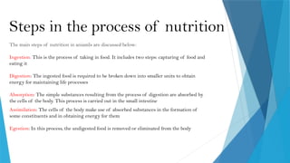 science-presentation nutrution in animal and plants.pptx