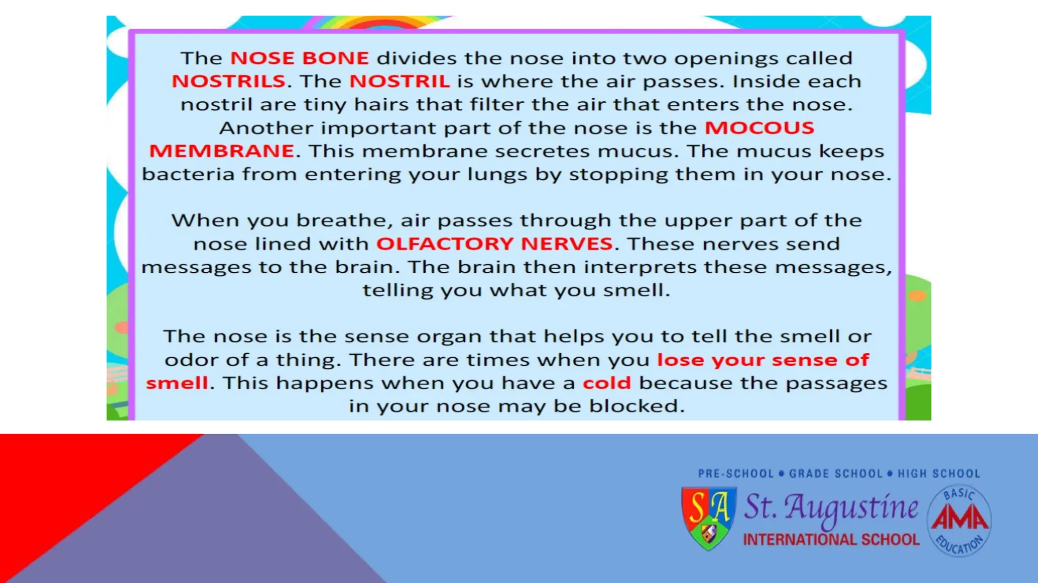 Science-Q1W3-Nose-1.pptxgdr gbrtytrytuntiy | PPT