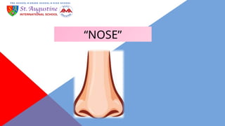 Science-Q1W3-Nose-1.pptxgdr gbrtytrytuntiy | PPTX