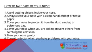 Science-Q1W3-Nose-1.pptxgdr gbrtytrytuntiy | PPT