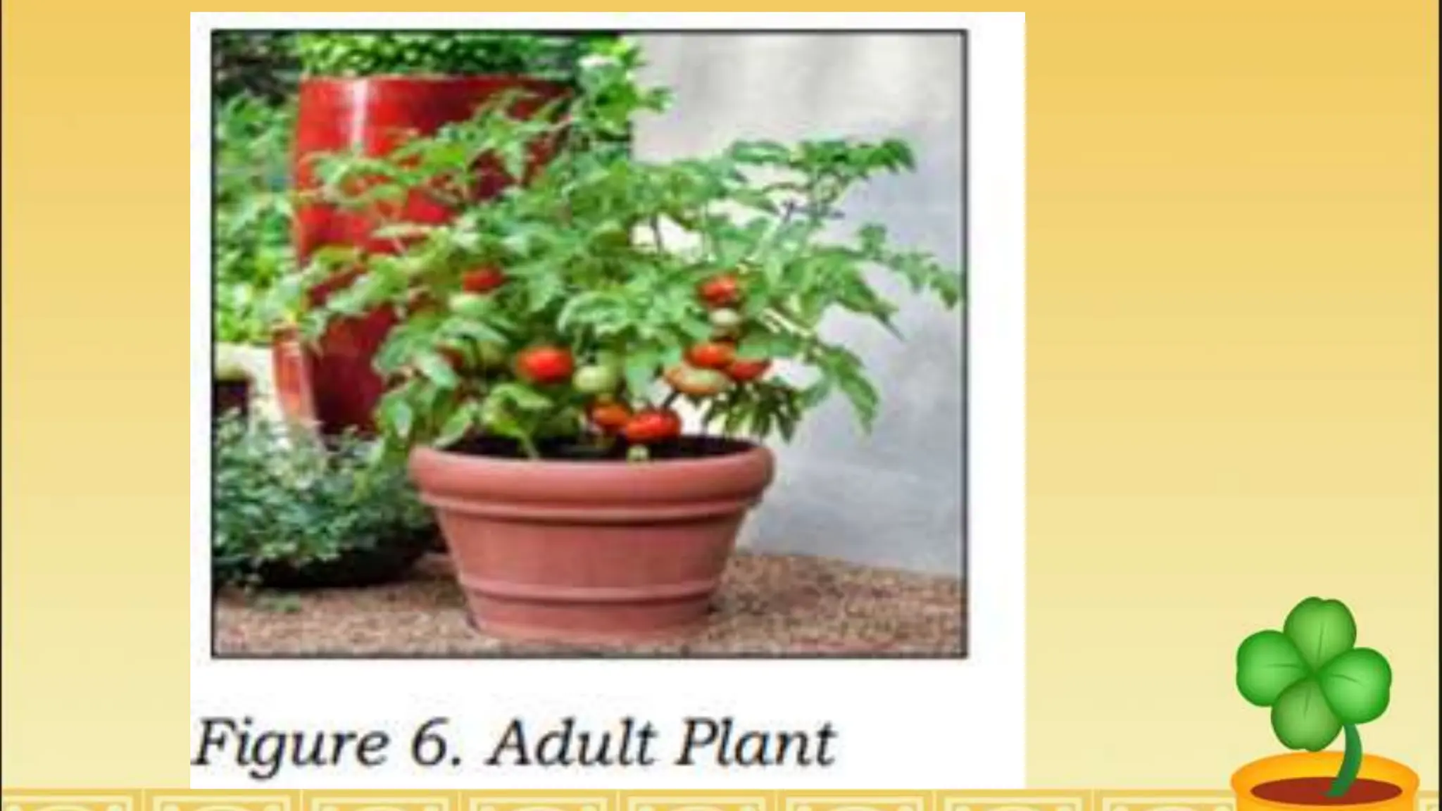 SCIENCE grade 4-Quarter 2- WEEK 5 DAY1.pptx