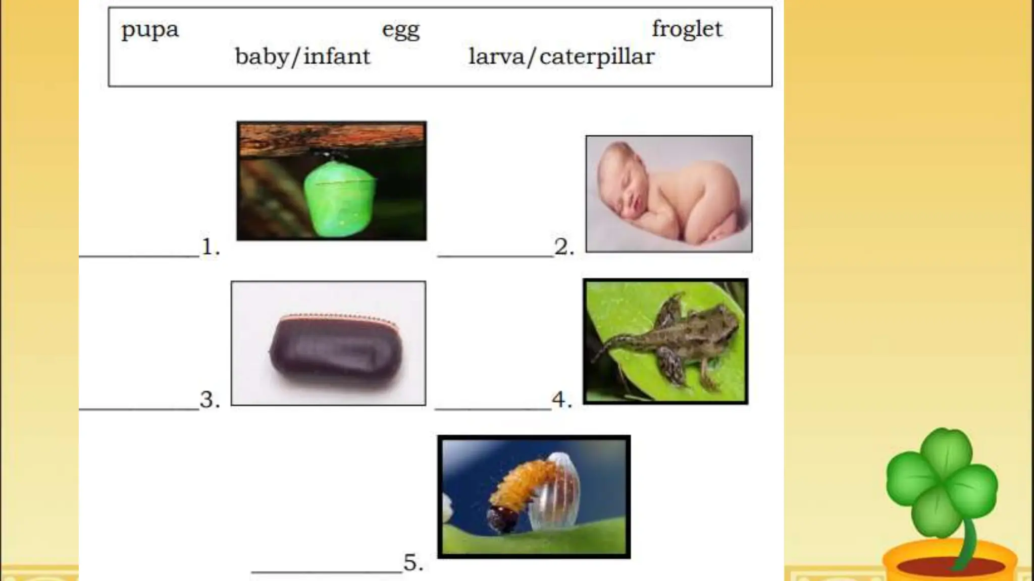 SCIENCE grade 4-Quarter 2- WEEK 5 DAY1.pptx