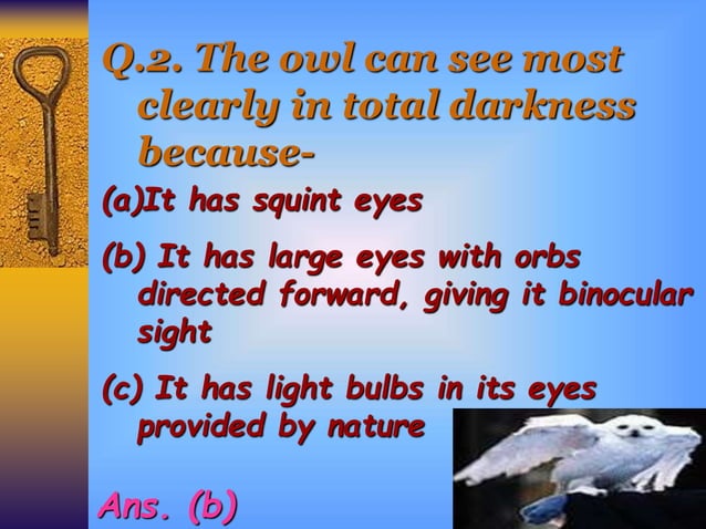 Science-Quiz.ppt