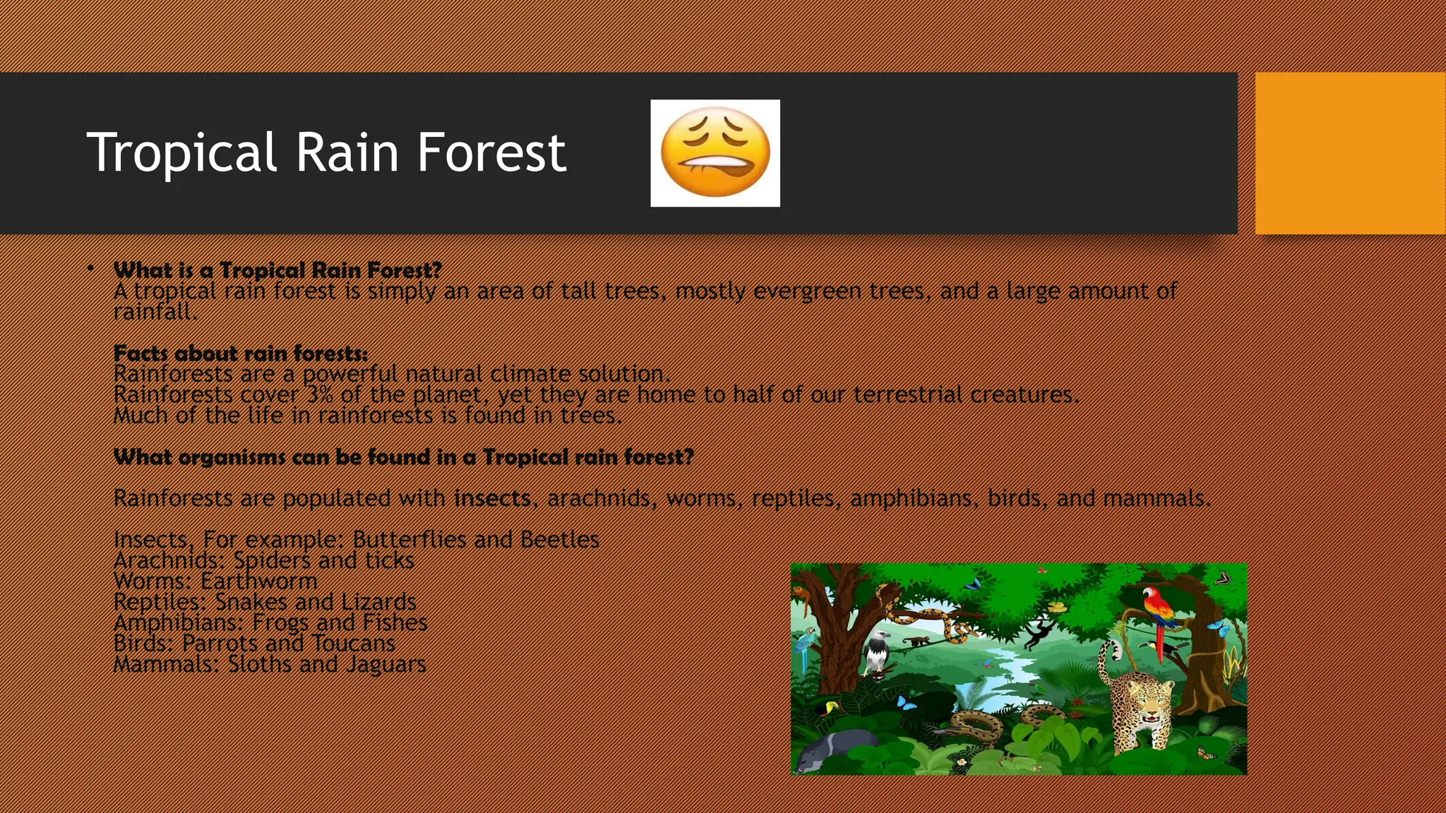 Science-Report-3 about Rainforest, and desert | PPT