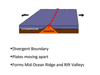 Science Review Semester Final | PPT