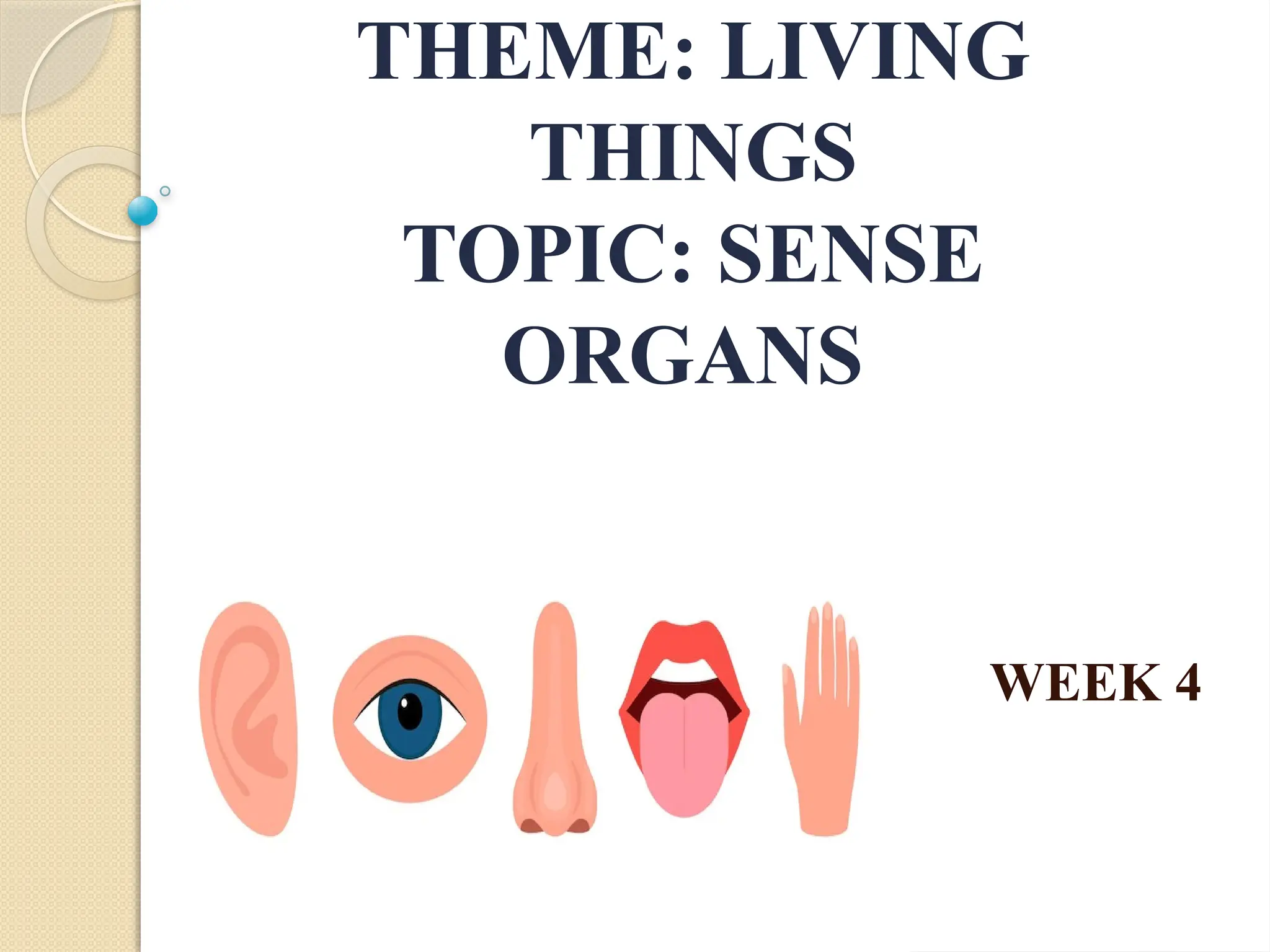 SCIENCE - SENSE ORGANS OF THE HUMAN BODY.pptx