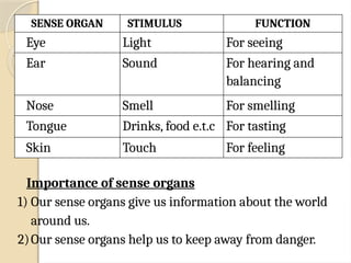 SCIENCE - SENSE ORGANS OF THE HUMAN BODY.pptx