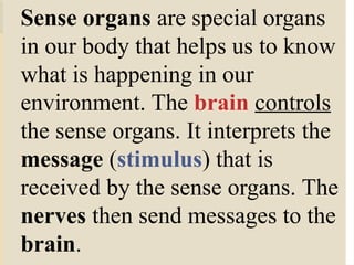 SCIENCE - SENSE ORGANS OF THE HUMAN BODY.pptx