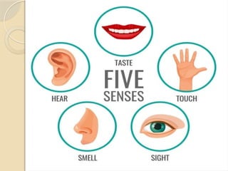 SCIENCE - SENSE ORGANS OF THE HUMAN BODY.pptx