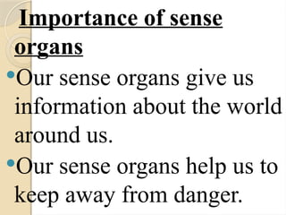 SCIENCE - SENSE ORGANS OF THE HUMAN BODY.pptx
