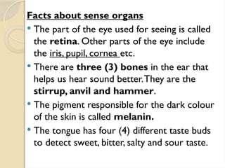 SCIENCE - SENSE ORGANS OF THE HUMAN BODY.pptx