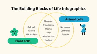science-subject-for-high-school-9th-grade-the-building-blocks-of-life ...