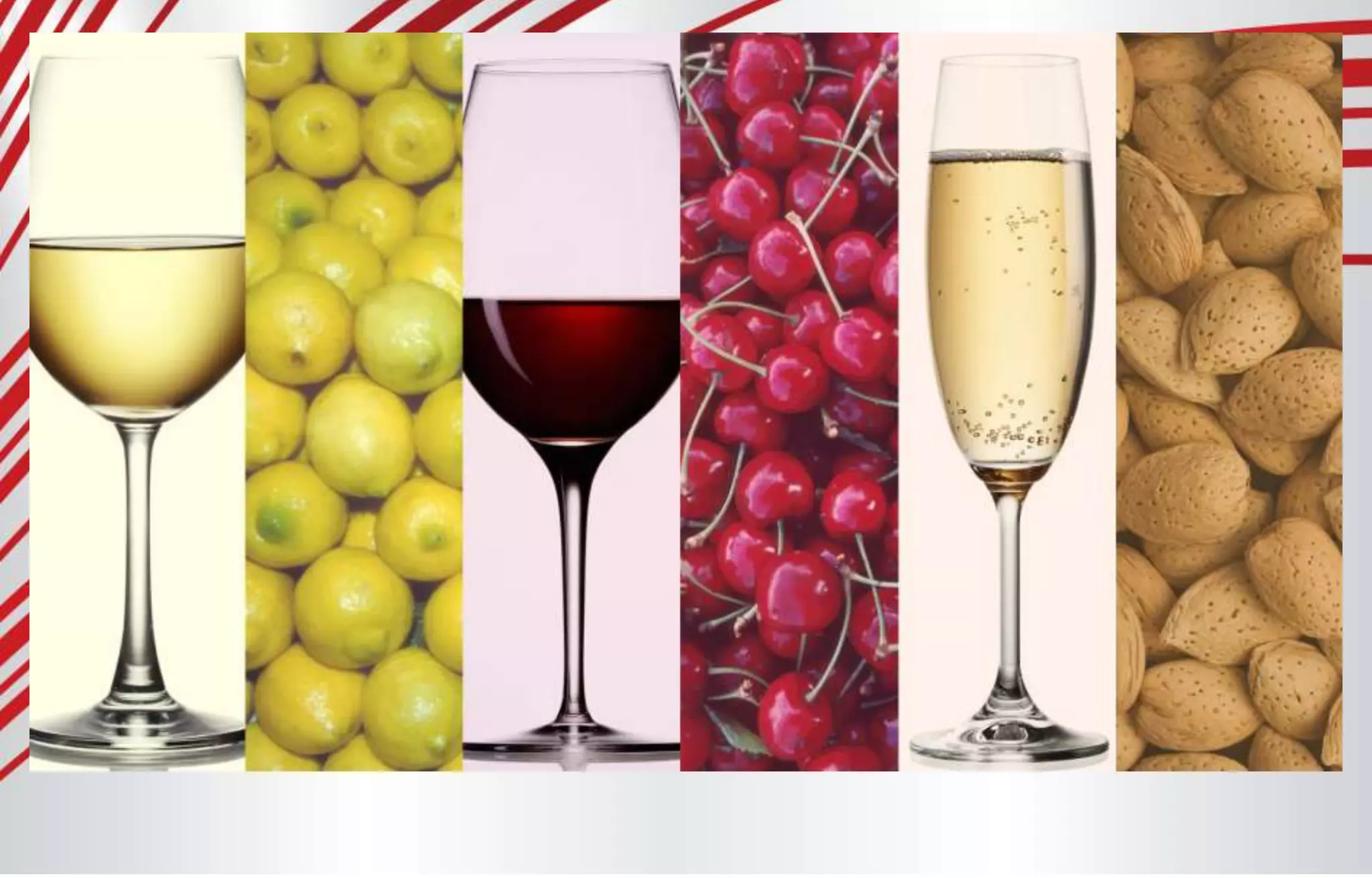 Science- Suspensions.ppt