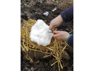Science Trip Camp Fire | PPT
