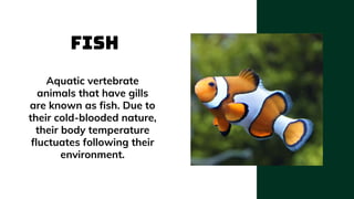 Science-Vertebrate-Animals-Presentation.pptx