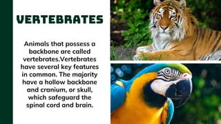 Science-Vertebrate-Animals-Presentation.pptx