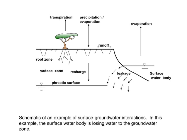Science View Importance Of Groundwater And Surface Subsurface