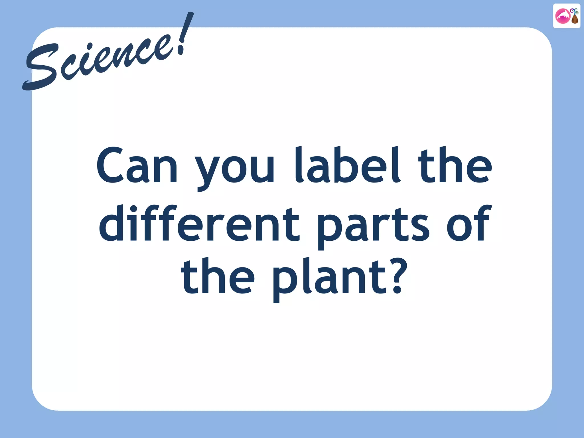 Science-What-do-plants-need-to-grow-PowerPoint.pdf