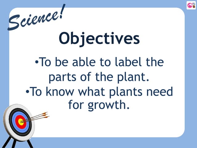 Science-What-do-plants-need-to-grow-PowerPoint.pdf