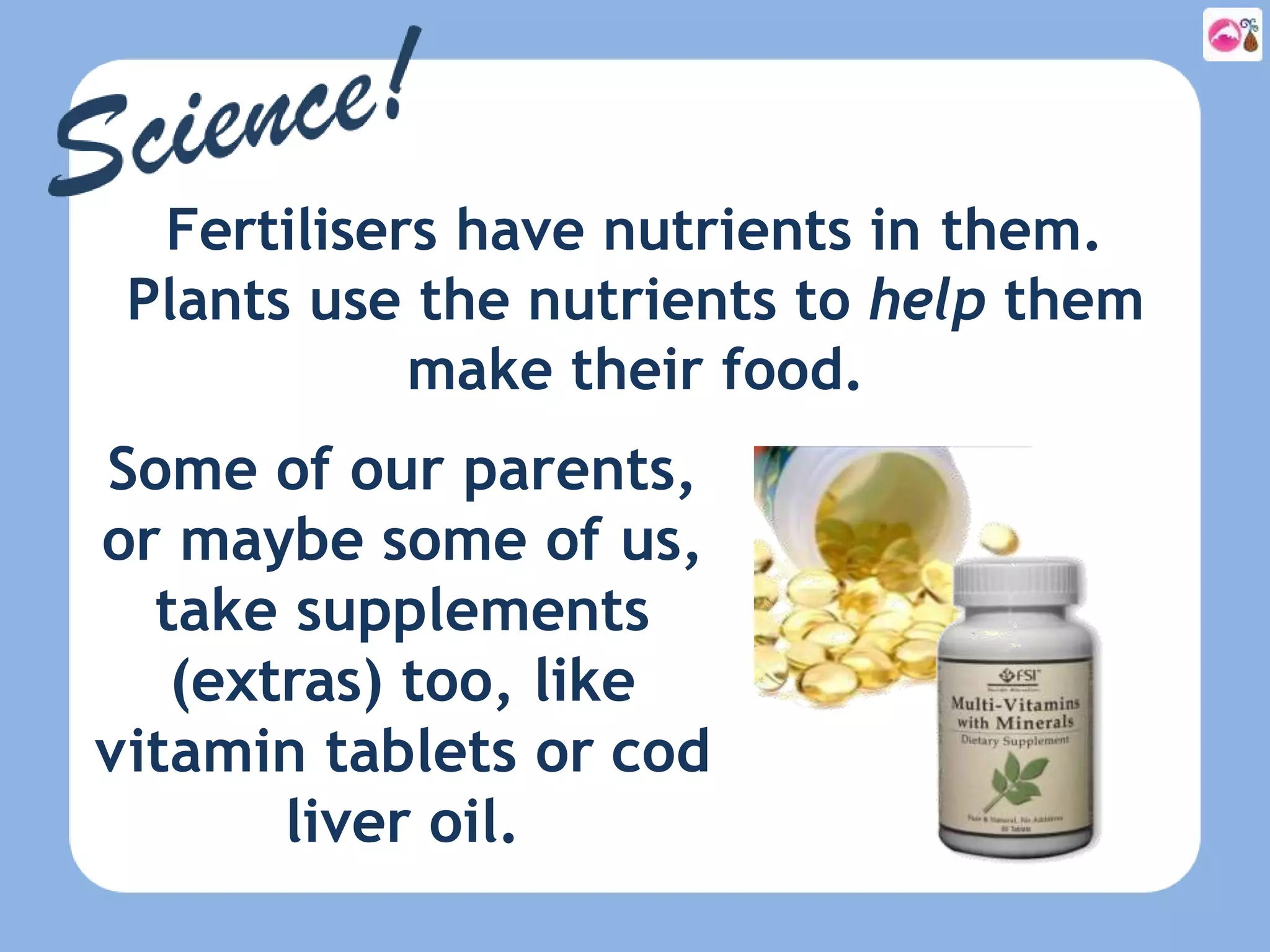 Science-What-do-plants-need-to-grow-PowerPoint.pptx | Gardening | Home ...